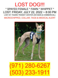 Lost and Found Whippets
